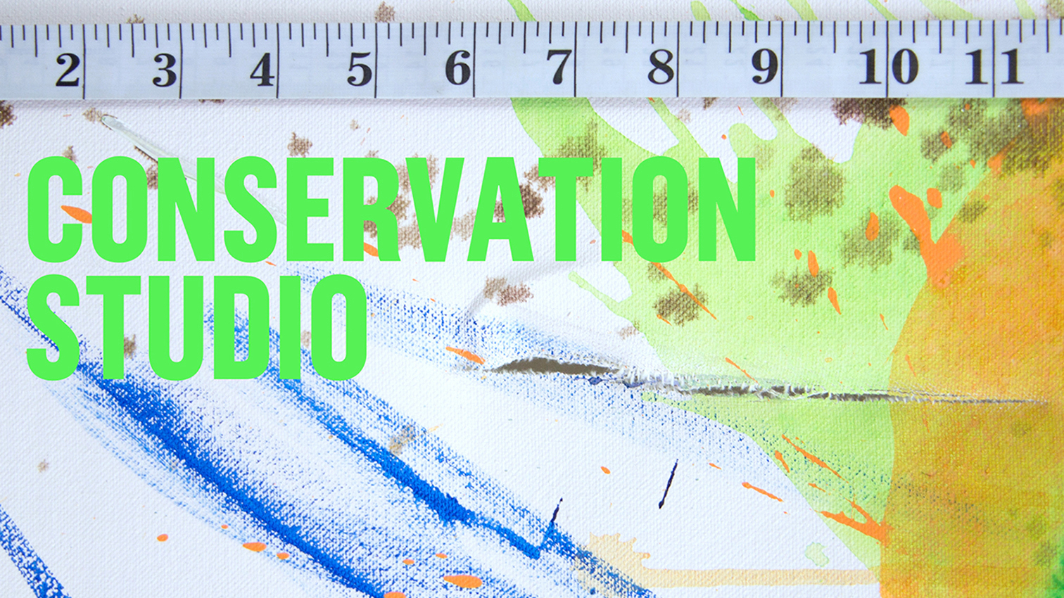 Conservation Studio –Nina Engel